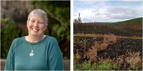 Working Groups | ESIIL